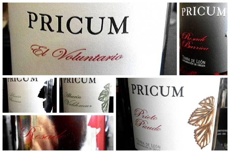 Cata de Bodegas Margón (Pricum) - recetum.com Cata de Bodegas Margón (Pricum) - recetum.com